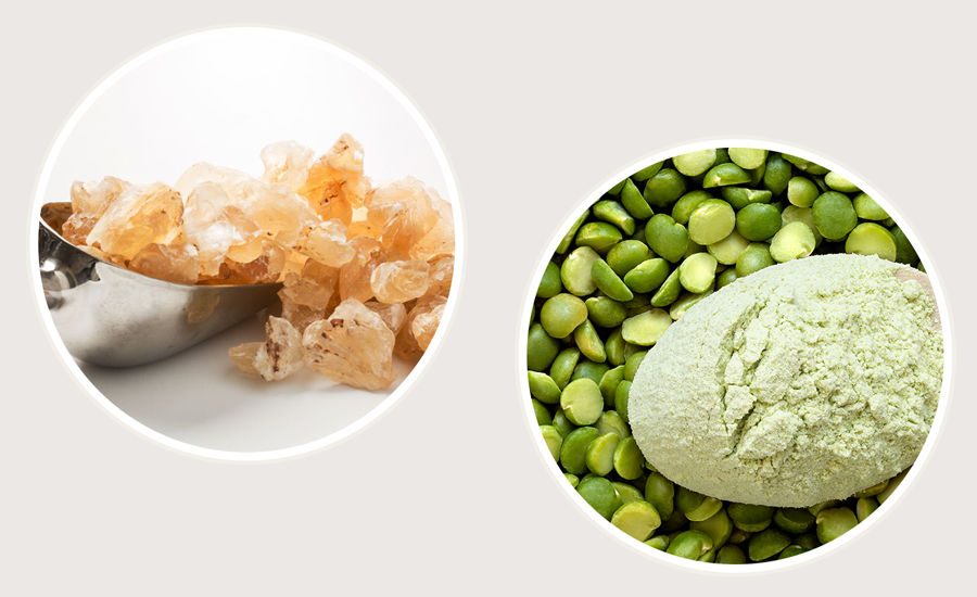 Gum Acacia and Pea Fiber | Food Master